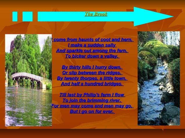 Ppt on the brook | PPT
