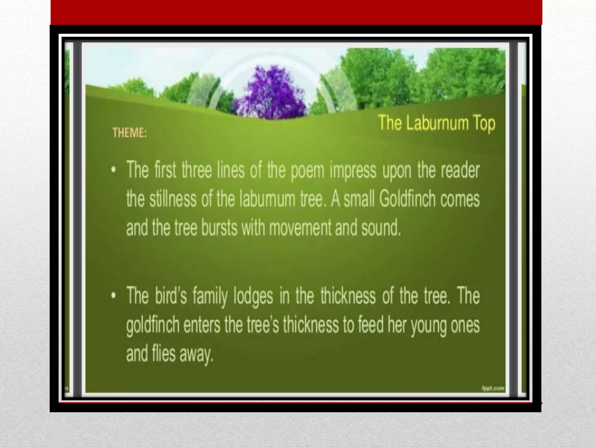 the laburnum top | PPT