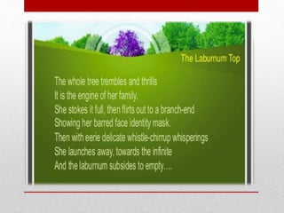 the laburnum top | PPT