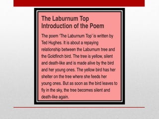 the laburnum top | PPTX