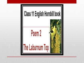 the laburnum top | PPTX