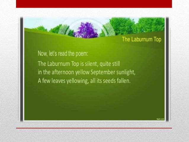 the laburnum top | PPT