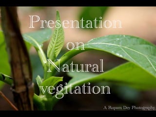 VEGETATION by Rupam Dey | PPT