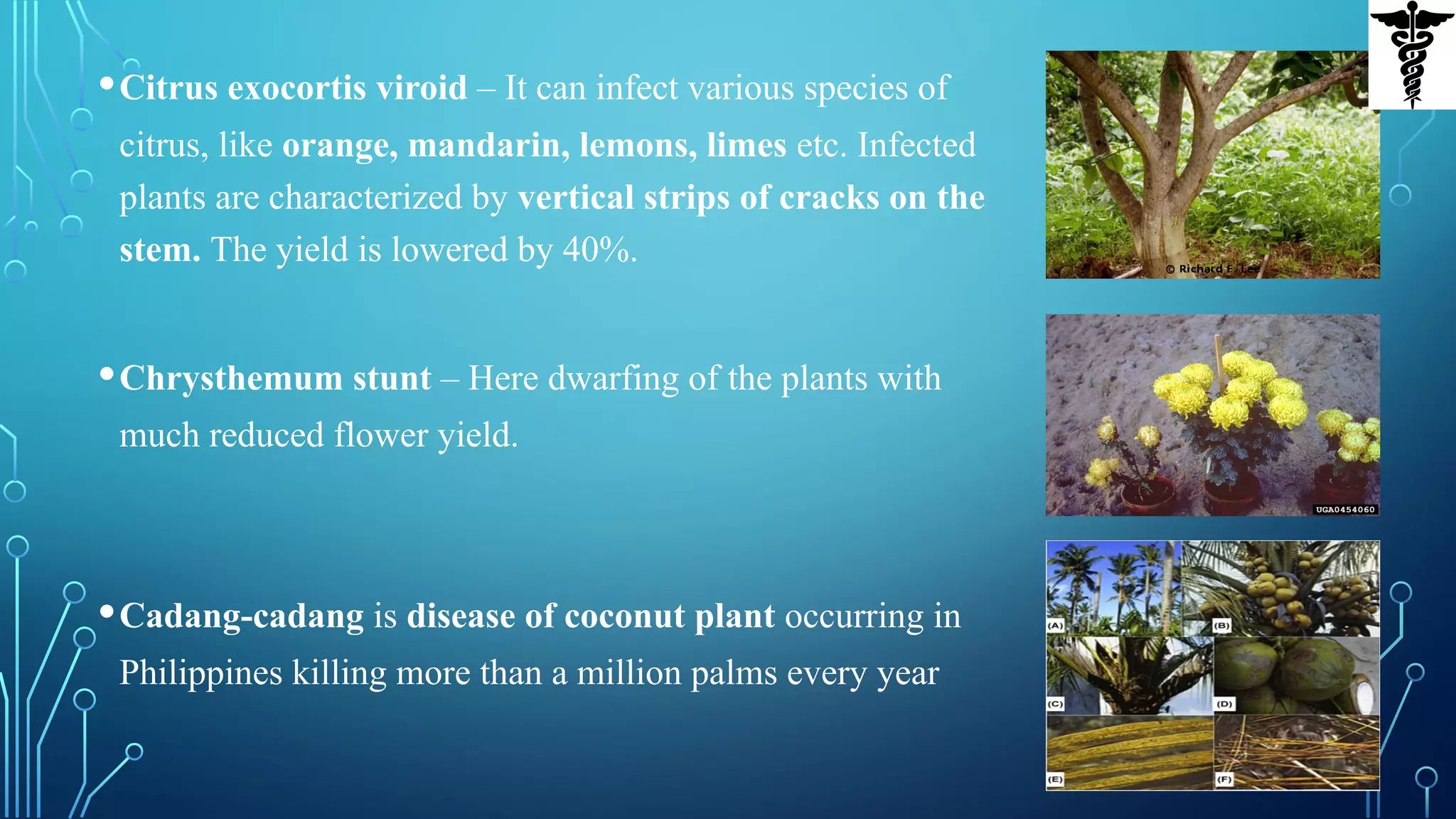 Ppt on viroids and prions by harshal shrote | PDF
