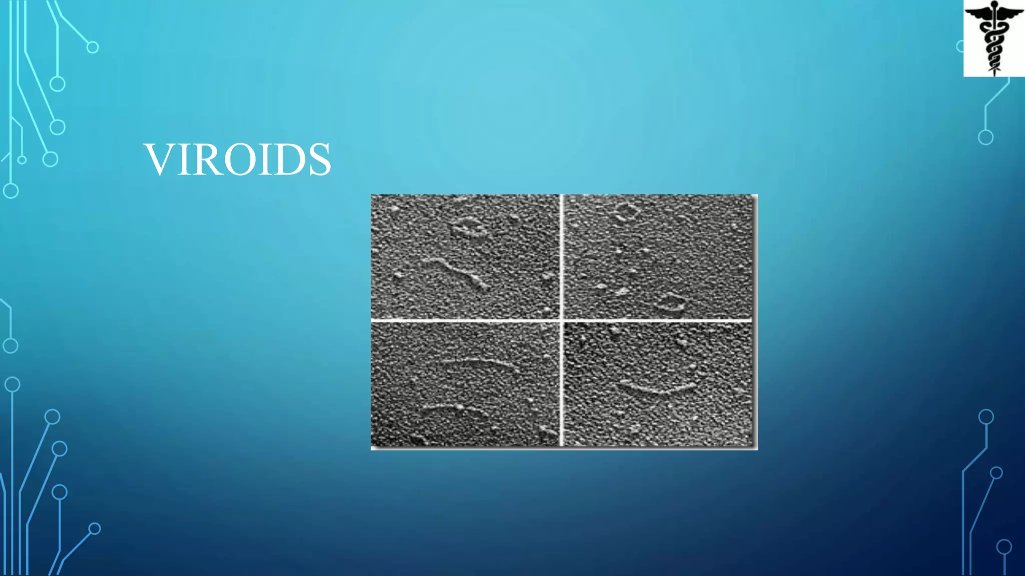 Ppt on viroids and prions by harshal shrote | PPTX | Gardening | Home ...