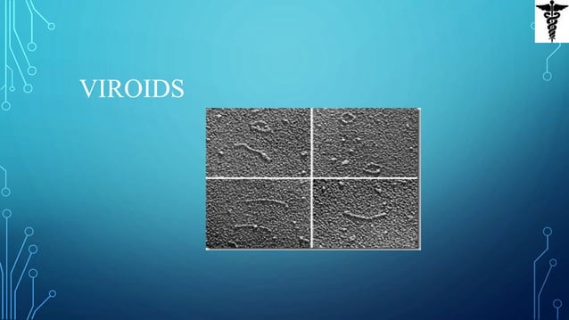 Ppt on viroids and prions by harshal shrote | PPTX | Gardening | Home ...