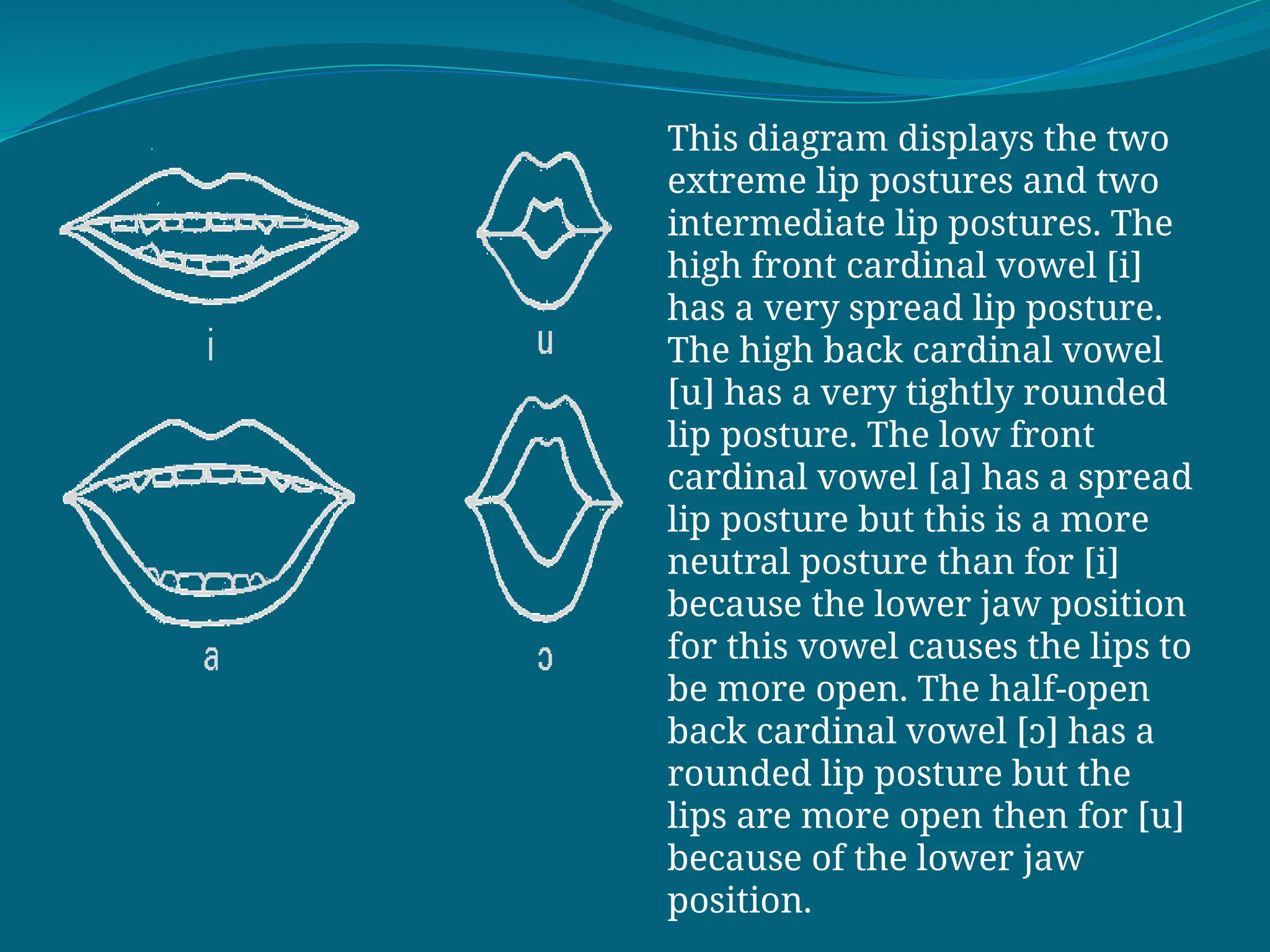 ppt on vowels english literature ok.pptx