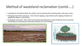 A closer look at wasteland and their reclamation | PPTX