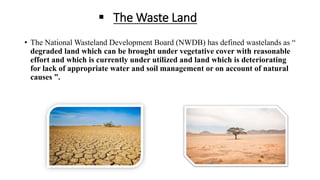 A closer look at wasteland and their reclamation | PPTX | Agriculture ...