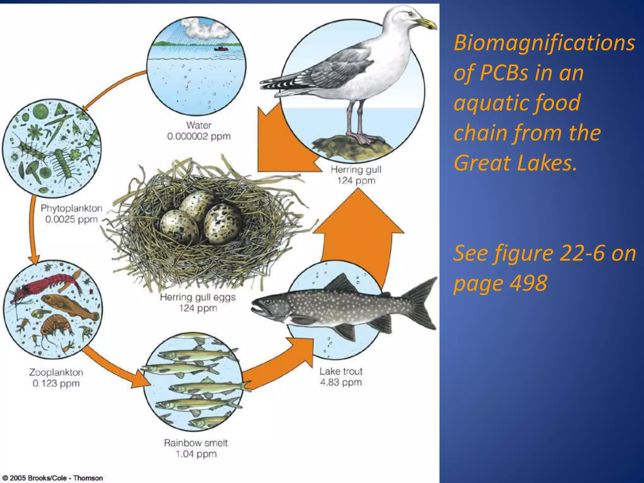 Ppt on water pollution | PPT