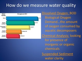 Ppt on water pollution | PPT