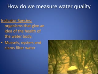 Ppt on water pollution | PPT