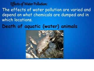 PPT on Water Polution | PPTX