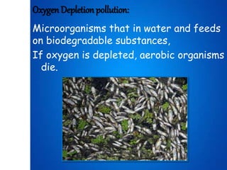 Oxygen Depletion Pollution