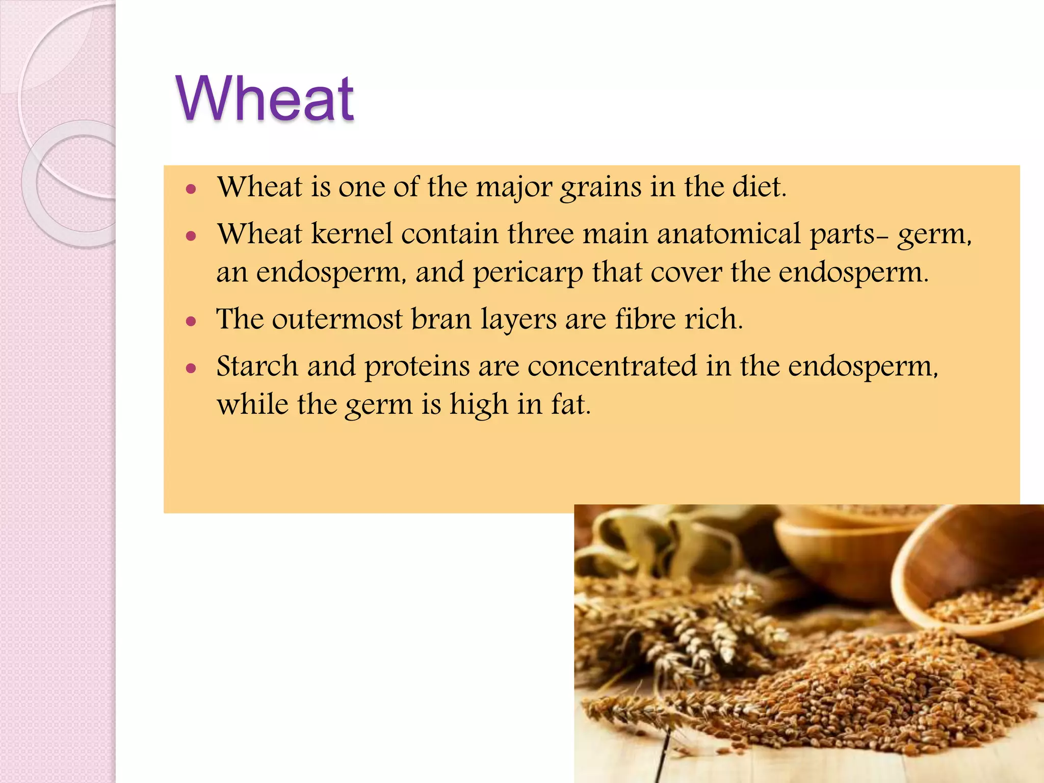 Wheat and its byproducts - Health benefits and application in food ...