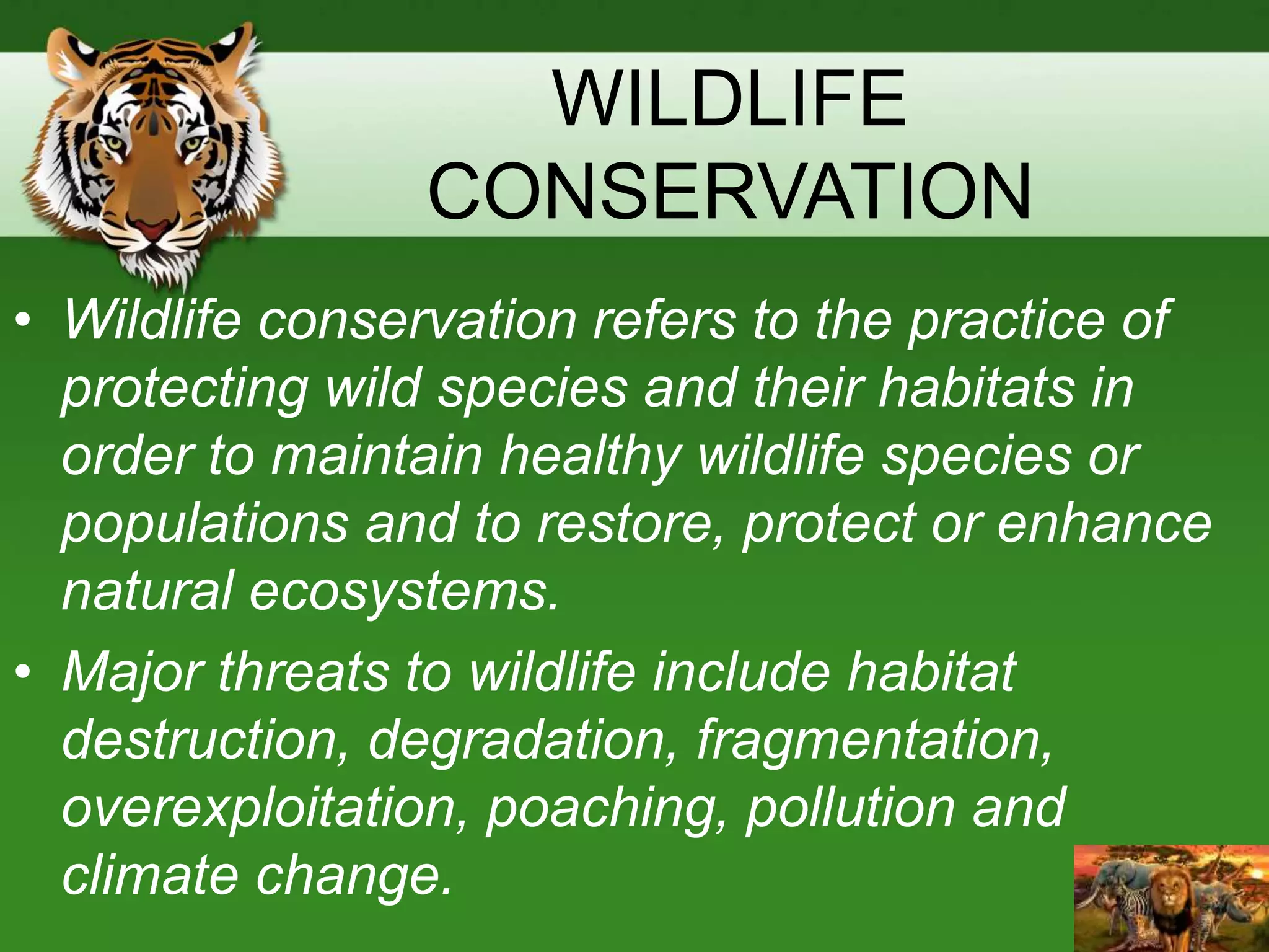 PPT ON WILDLIFE.ppt