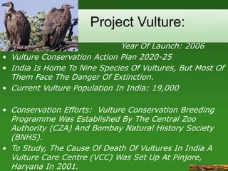 PPT ON WILDLIFE.ppt
