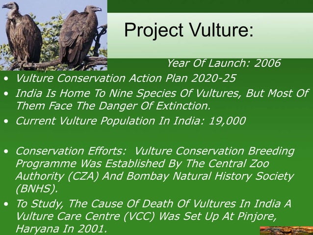 PPT ON WILDLIFE.ppt | Zoos & Aquariums | Attractions