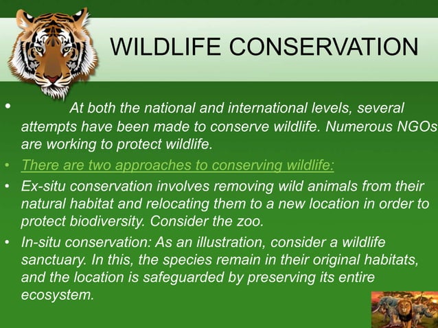 PPT ON WILDLIFE.ppt | Zoos & Aquariums | Attractions