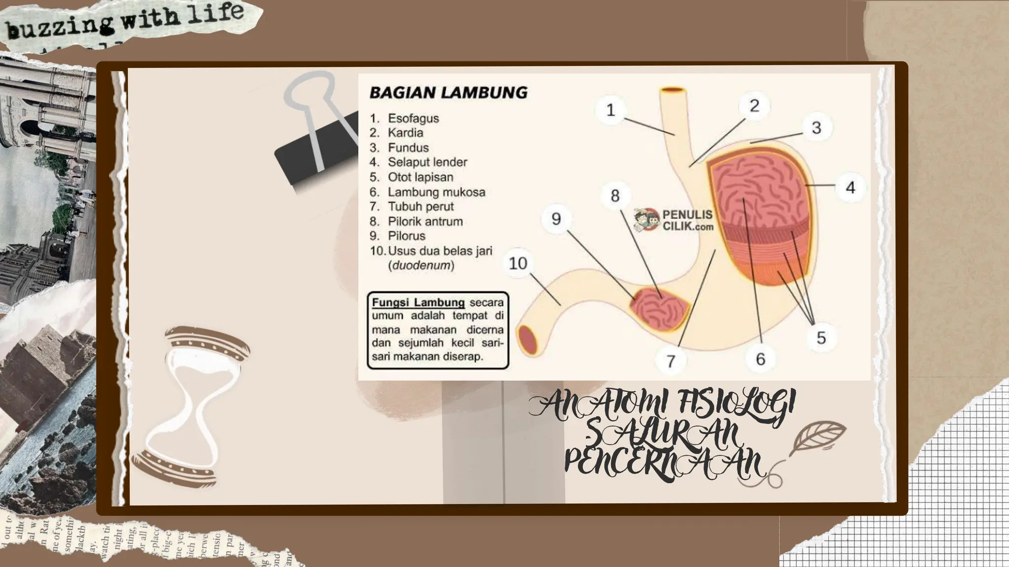 presentasi biofarmasetika sediaan Oral.pptx