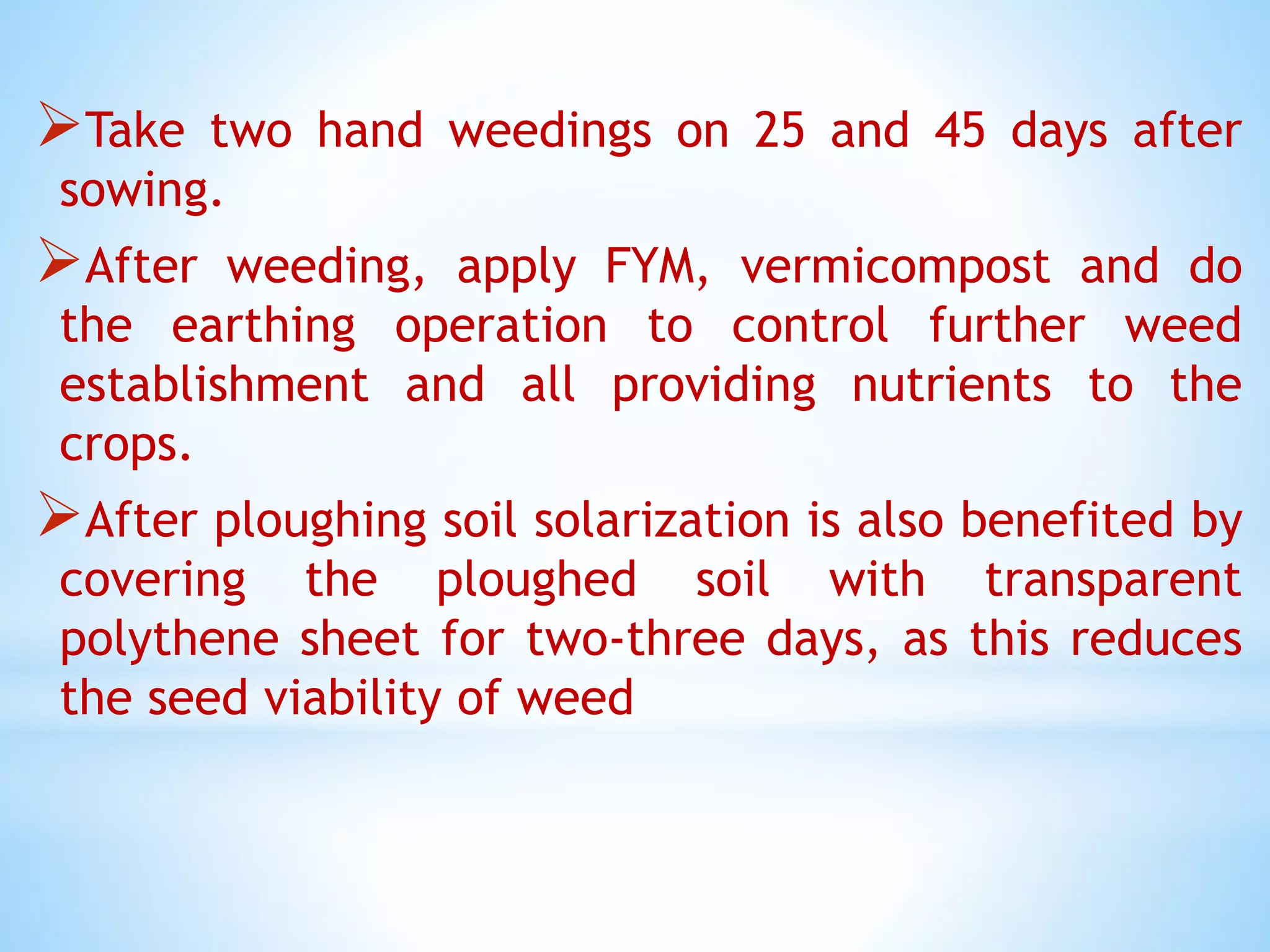 Organic agriculture packages and practices for maize | PPTX