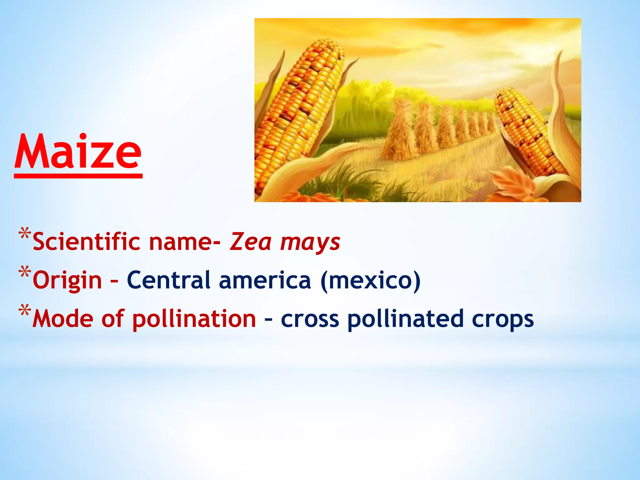 Organic agriculture packages and practices for maize | PPTX