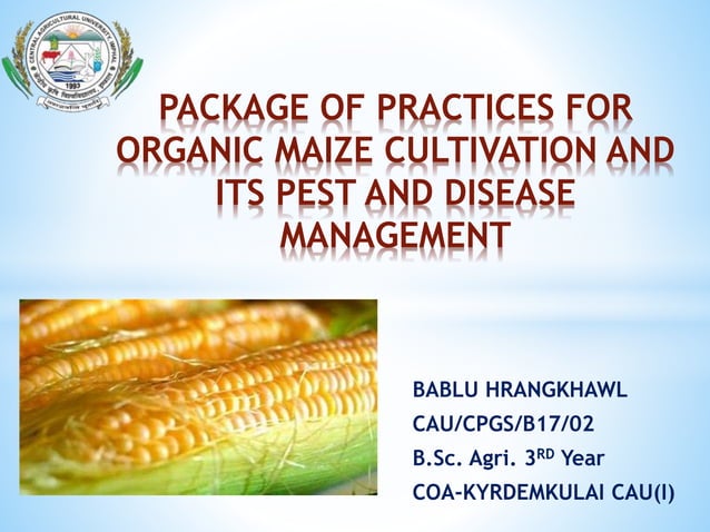 Organic agriculture packages and practices for maize | PPTX | Agriculture | Industries
