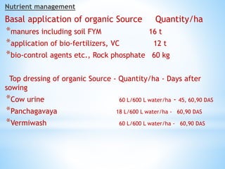 Organic agriculture packages and practices for maize | PPTX