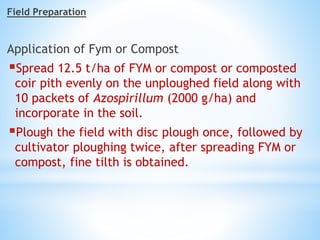 Organic agriculture packages and practices for maize | PPTX