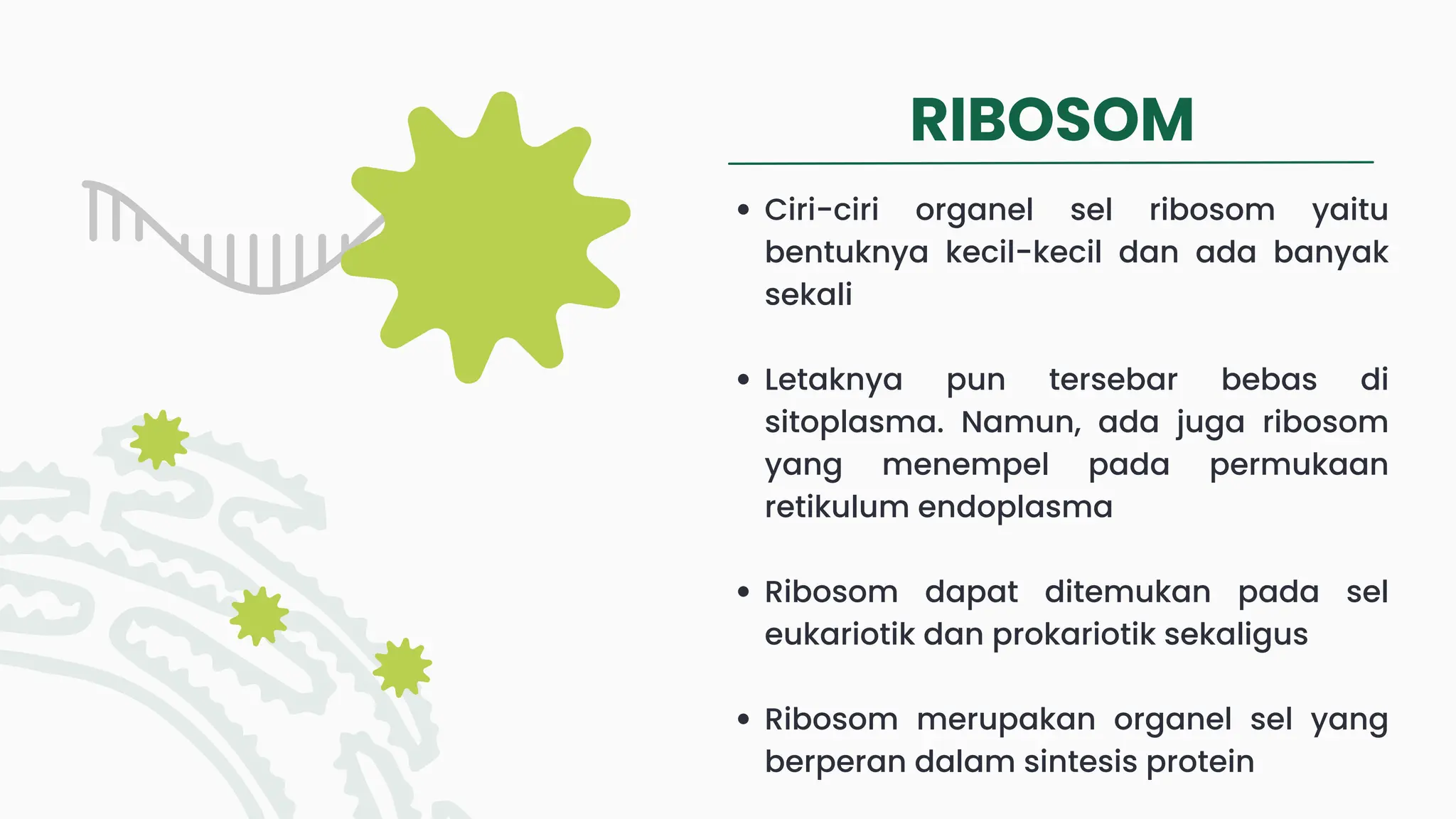 PPT ORGANISASI KEHIDUPAN.pdf
