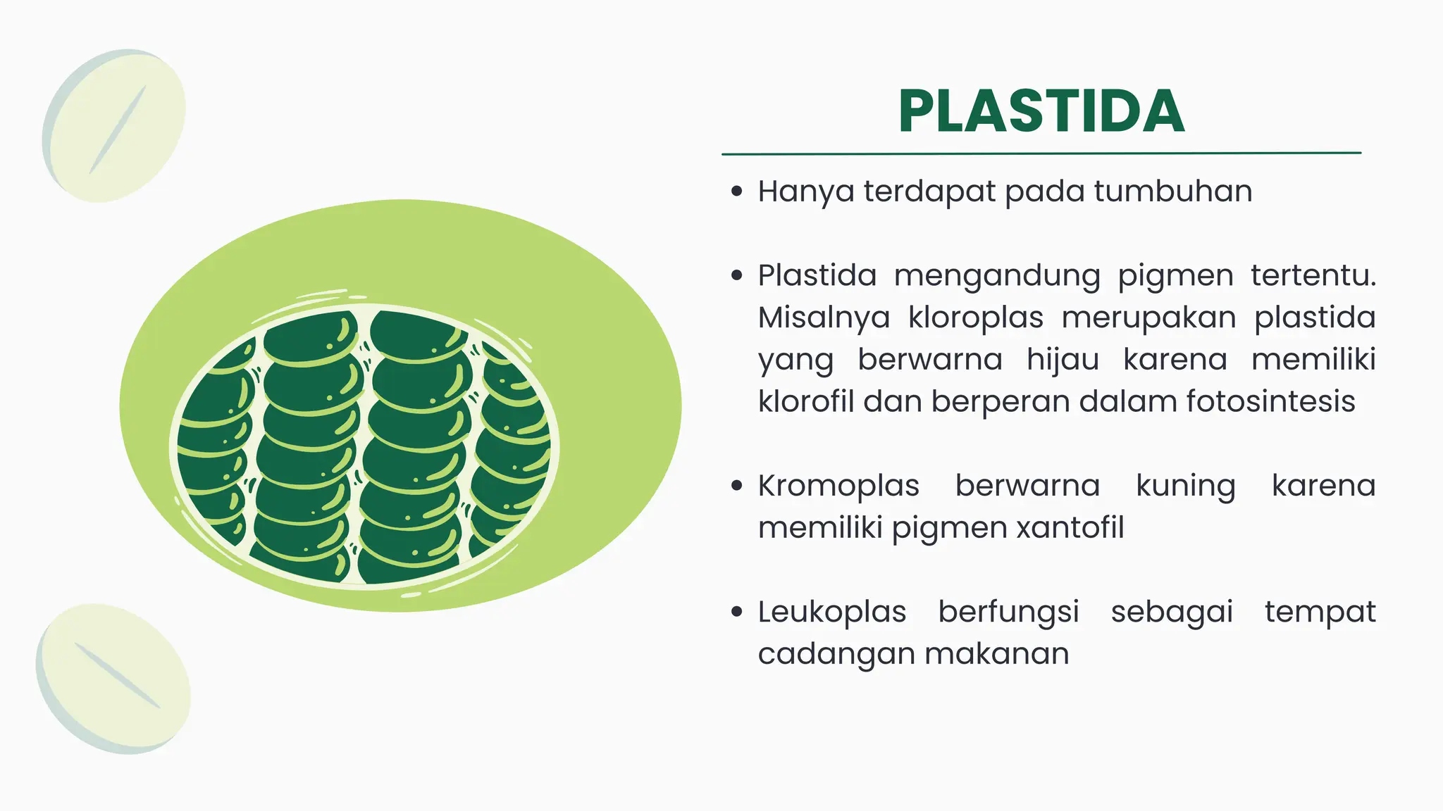 PPT ORGANISASI KEHIDUPAN.pdf