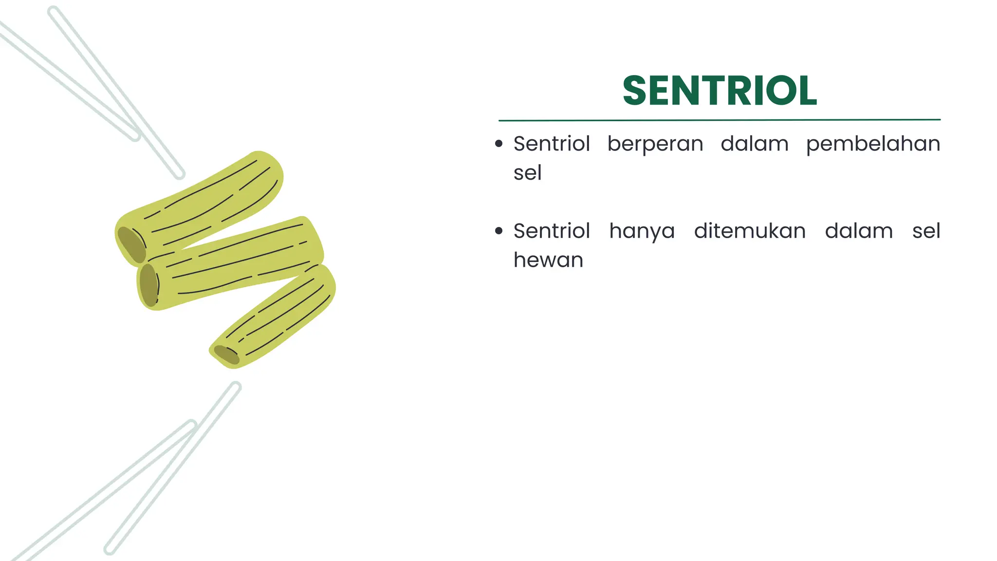 PPT ORGANISASI KEHIDUPAN.pdf