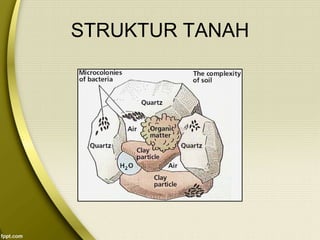 Ppt_organisme_tanah.ppt