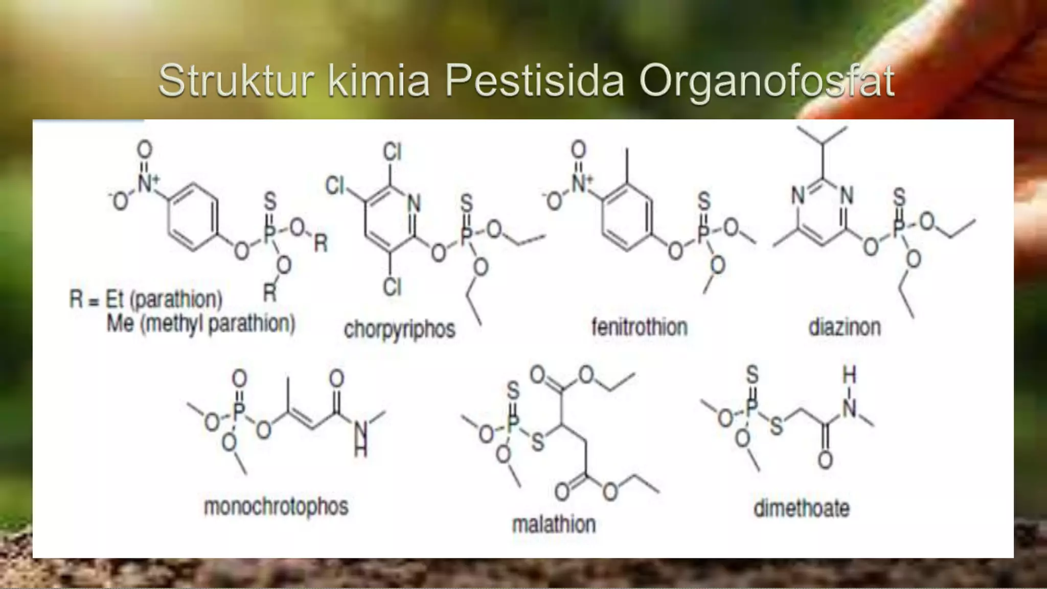 ppt organofosfat.pptx