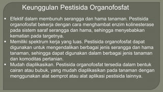ppt organofosfat.pptx