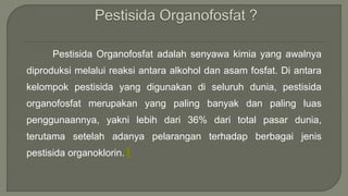 ppt organofosfat.pptx
