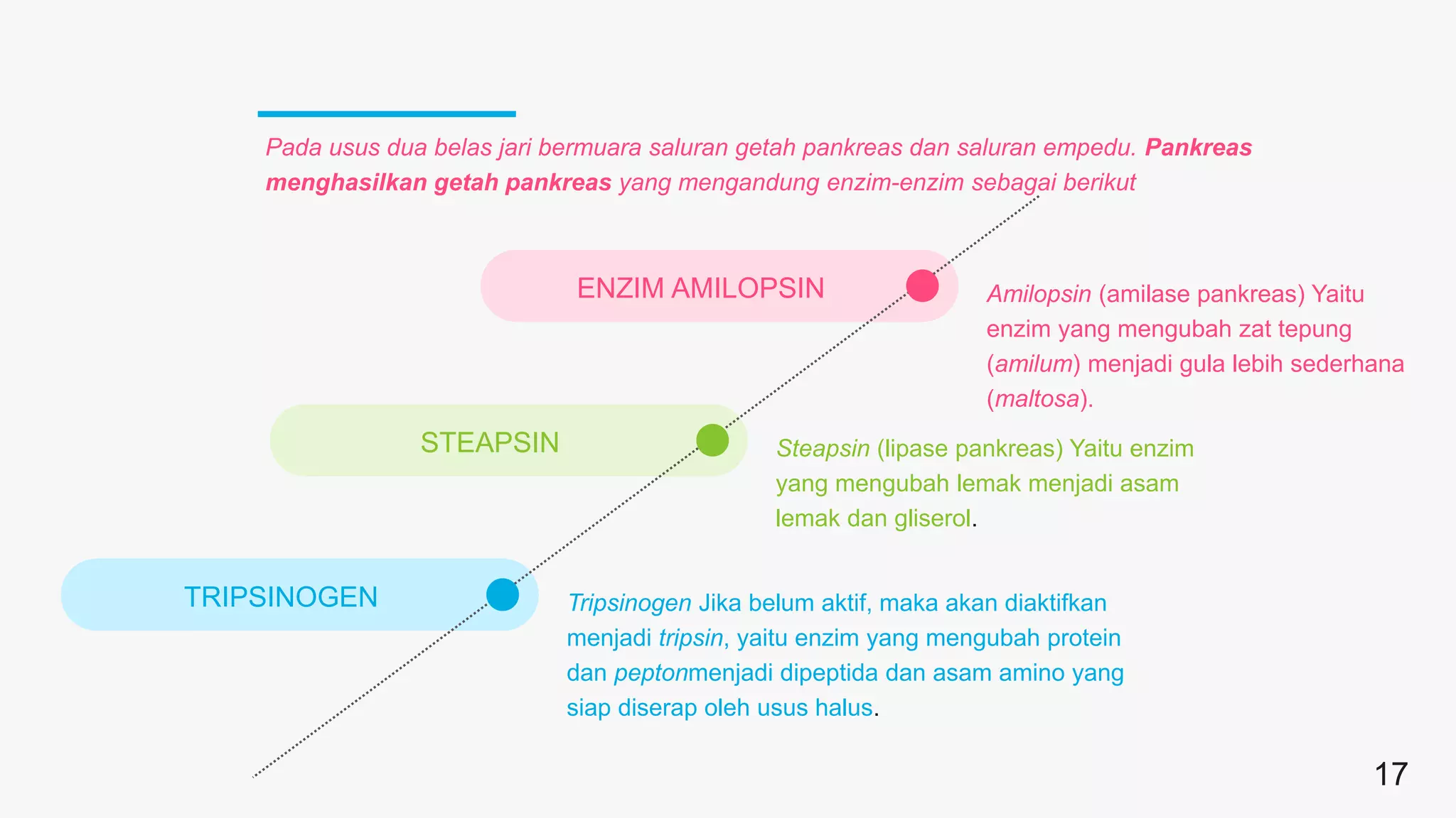 PPT ORGAN PENCERNAAN MAKANAN | PPTX