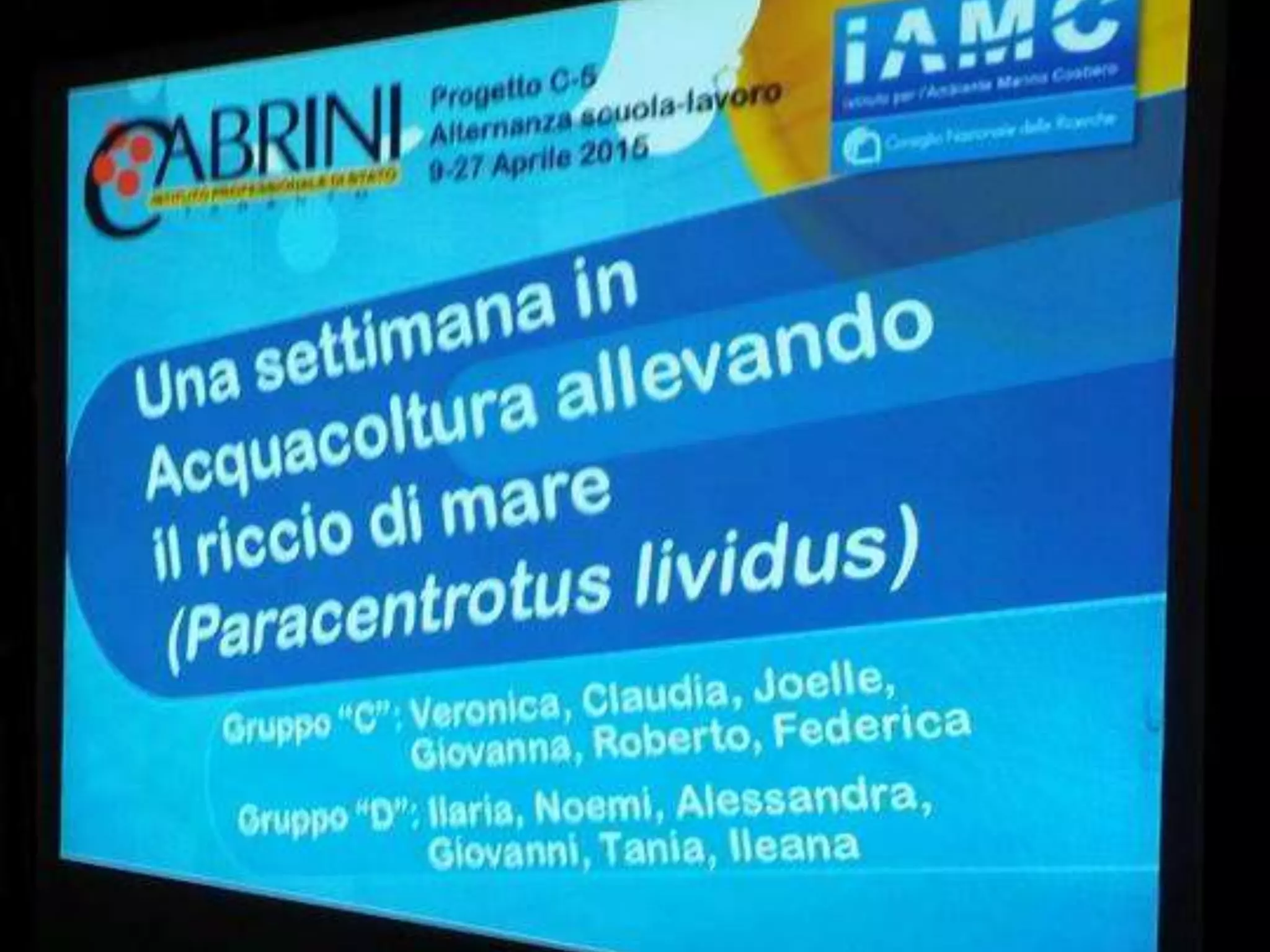 Ppt orientamento | PPT