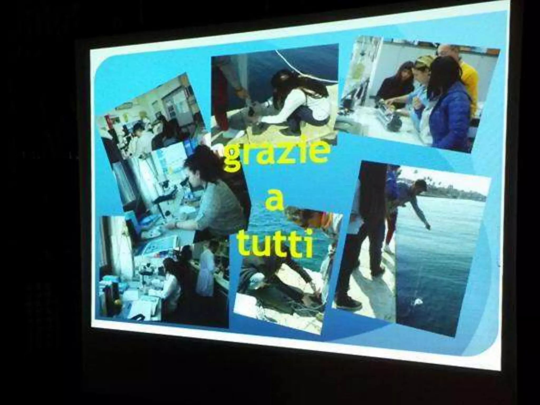 Ppt orientamento | PPT | Free Download