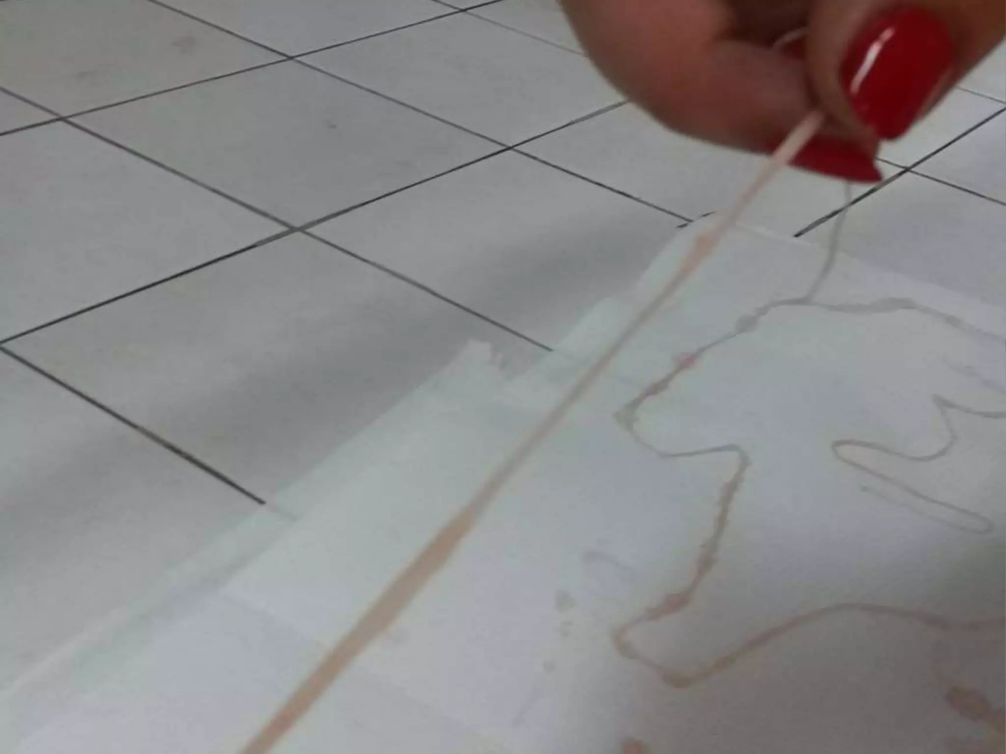 Ppt orientamento | PPT