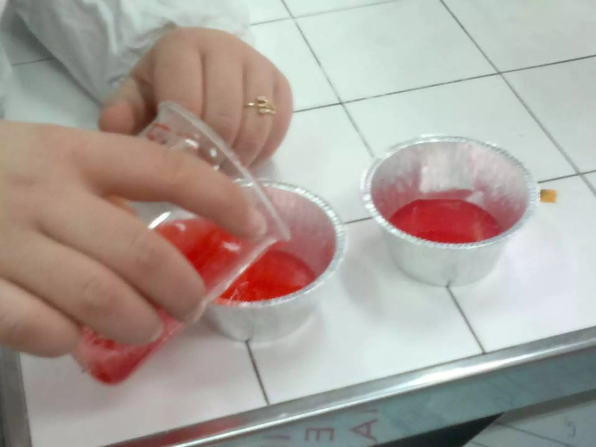 Ppt orientamento | PPT | Free Download