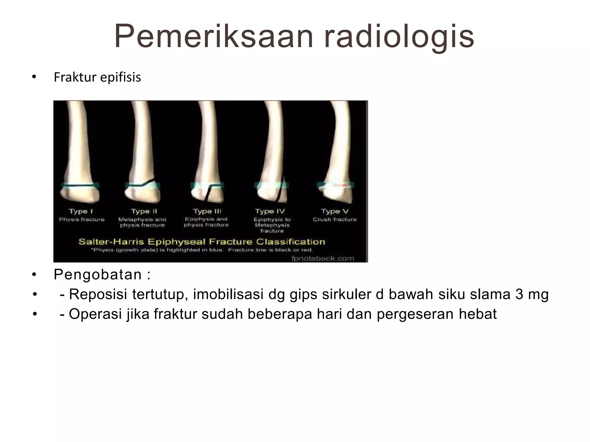 PPT Ortho.pptx