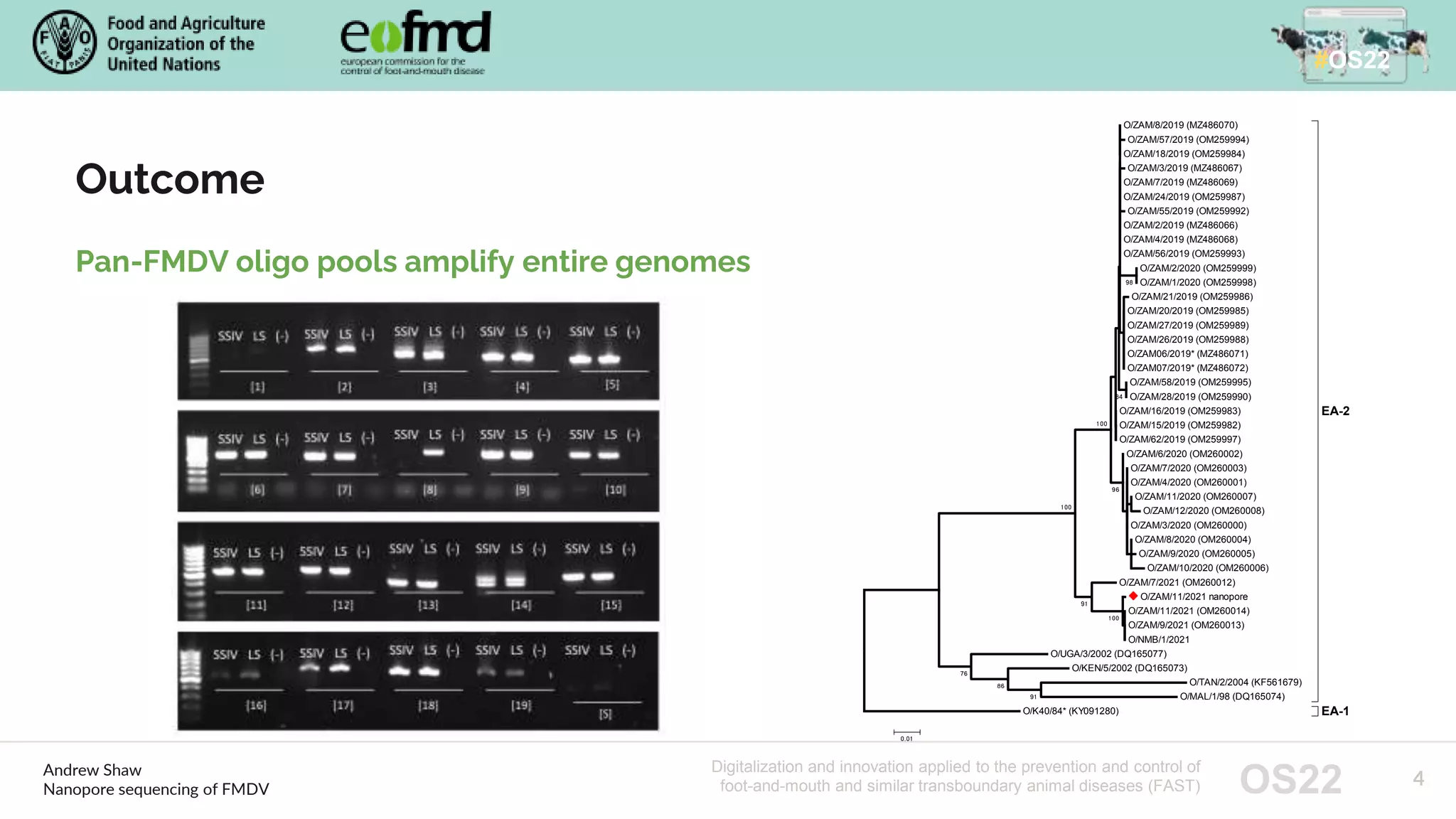 A. Shaw - Complete genome sequencing of FMDV using Nanopore sequencing ...