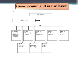Organisational Structure and Elements of Infosys, HUL and Maruti Suzuki ...