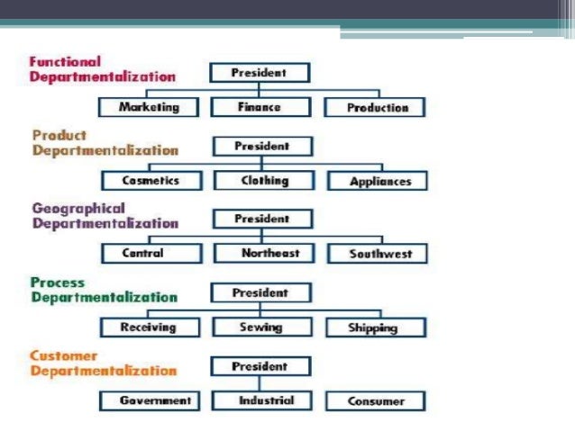 Organisational Structure and Elements of Infosys, HUL and Maruti Suzu…