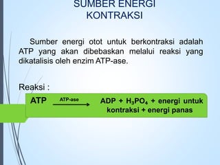 Ppt otot | PPTX