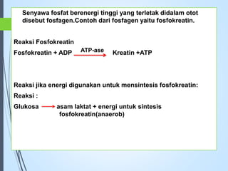 Ppt otot | PPTX