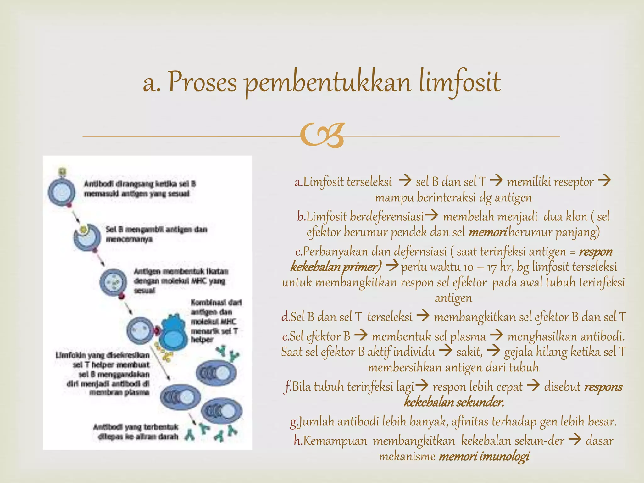 PPT SIstem Imunitas / Sistem Kekebalan Tubuh | PPTX