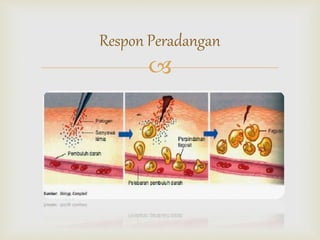 PPT SIstem Imunitas / Sistem Kekebalan Tubuh | PPTX