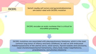 ppt Ovarian Sex Cord-Stromal Tumors.pdf